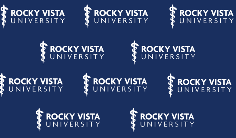 Zoom Guidelines | Professional Online Meeting Practices