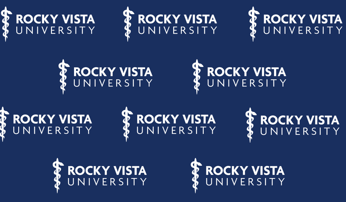 Zoom Guidelines | Professional Online Meeting Practices