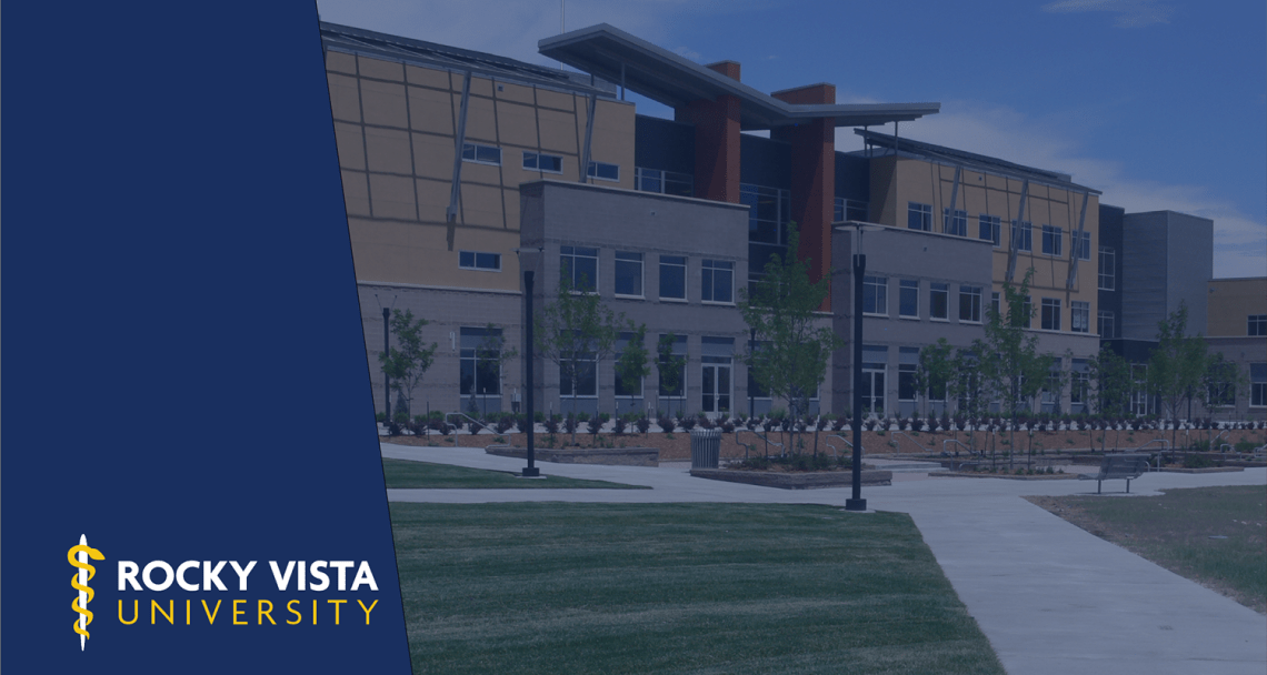 Zoom Guidelines | Professional Online Meeting Practices