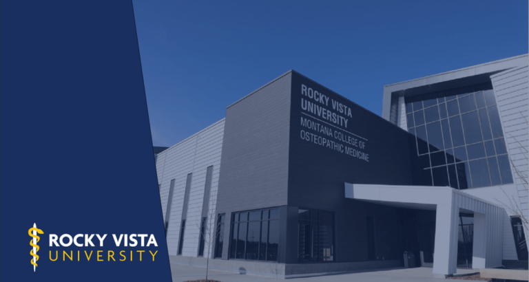 Zoom Guidelines | Professional Online Meeting Practices